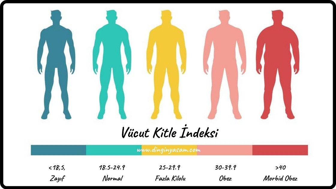 Vücut Kitlen İndeksi Hesaplama | Vücut Kitle Endeksi Hesaplama