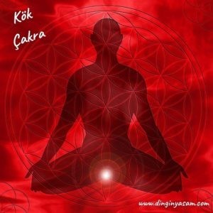 Çakra Nedir? | Çakralar ve Gizemleri | Vücudun Enerji Merkezleri!
